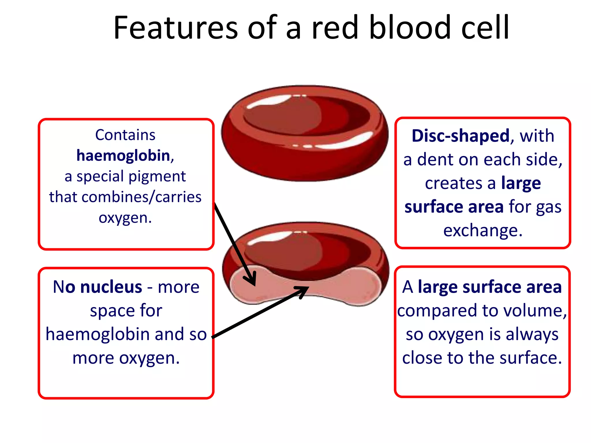 Mrs Abrey Lesson 14 blood | PPTX