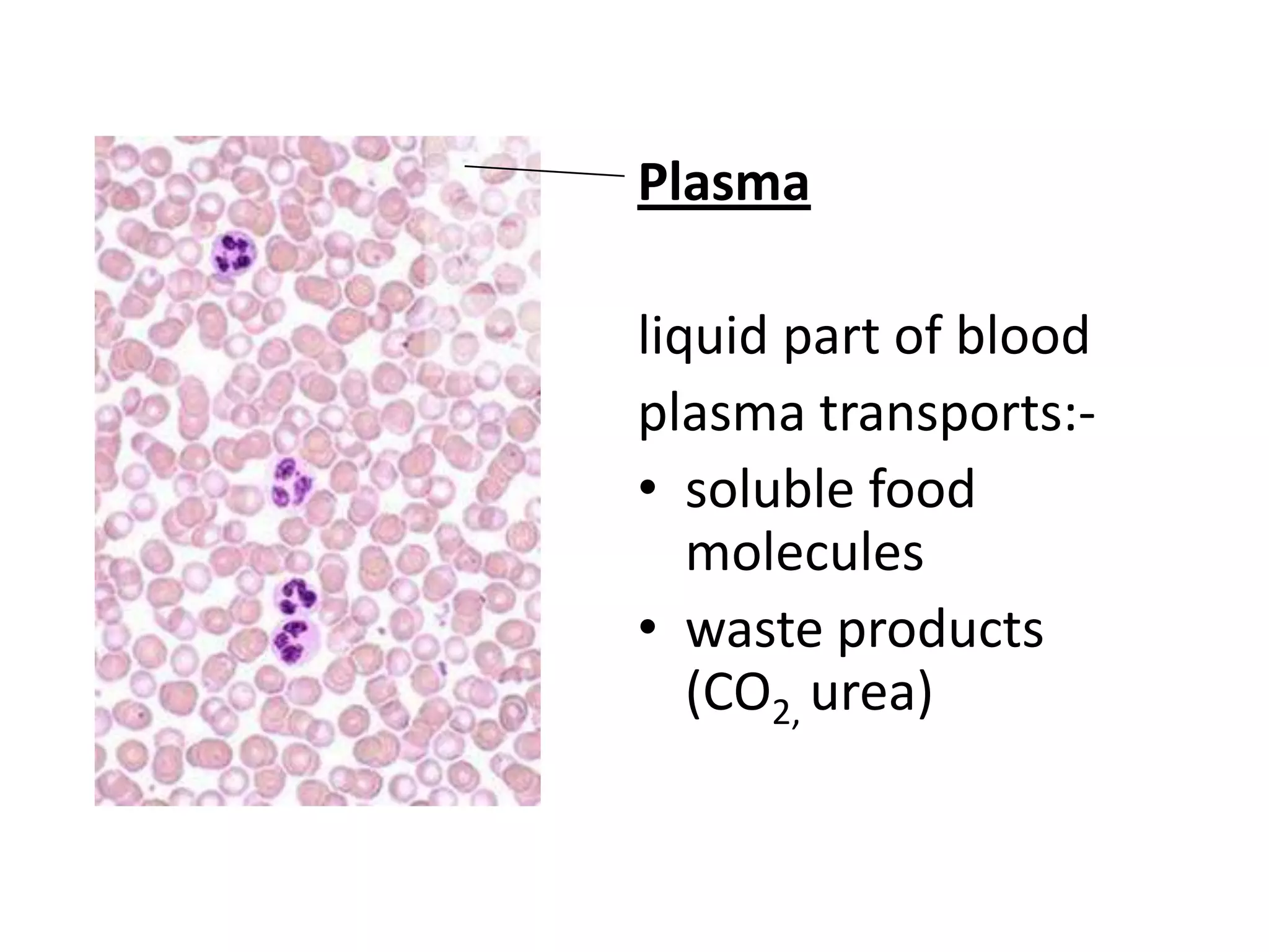 Mrs Abrey Lesson 14 blood | PPTX