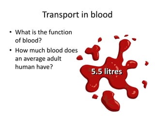 Mrs Abrey Lesson 14 blood | PPTX
