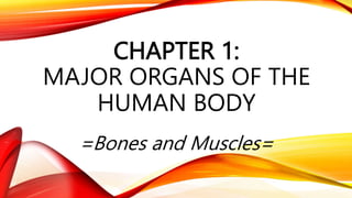 LESSON 14 - major organs of the body.pptx
