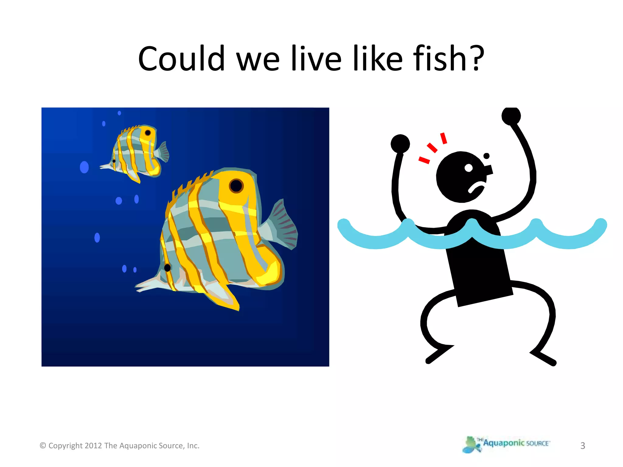 Lesson 14 parts of fish power point | PPTX | Fish and Aquariums | Pets