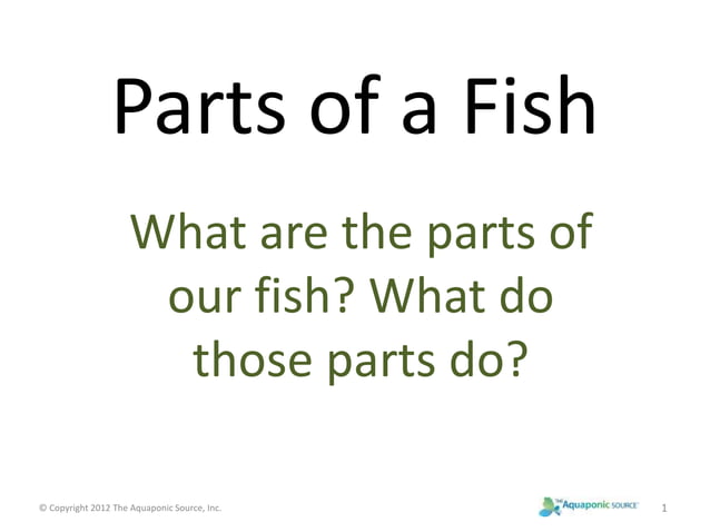 Lesson 14 parts of fish power point | PPTX | Fish and Aquariums | Pets