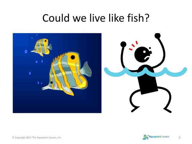 Lesson 14 parts of fish power point | PPTX | Fish and Aquariums | Pets