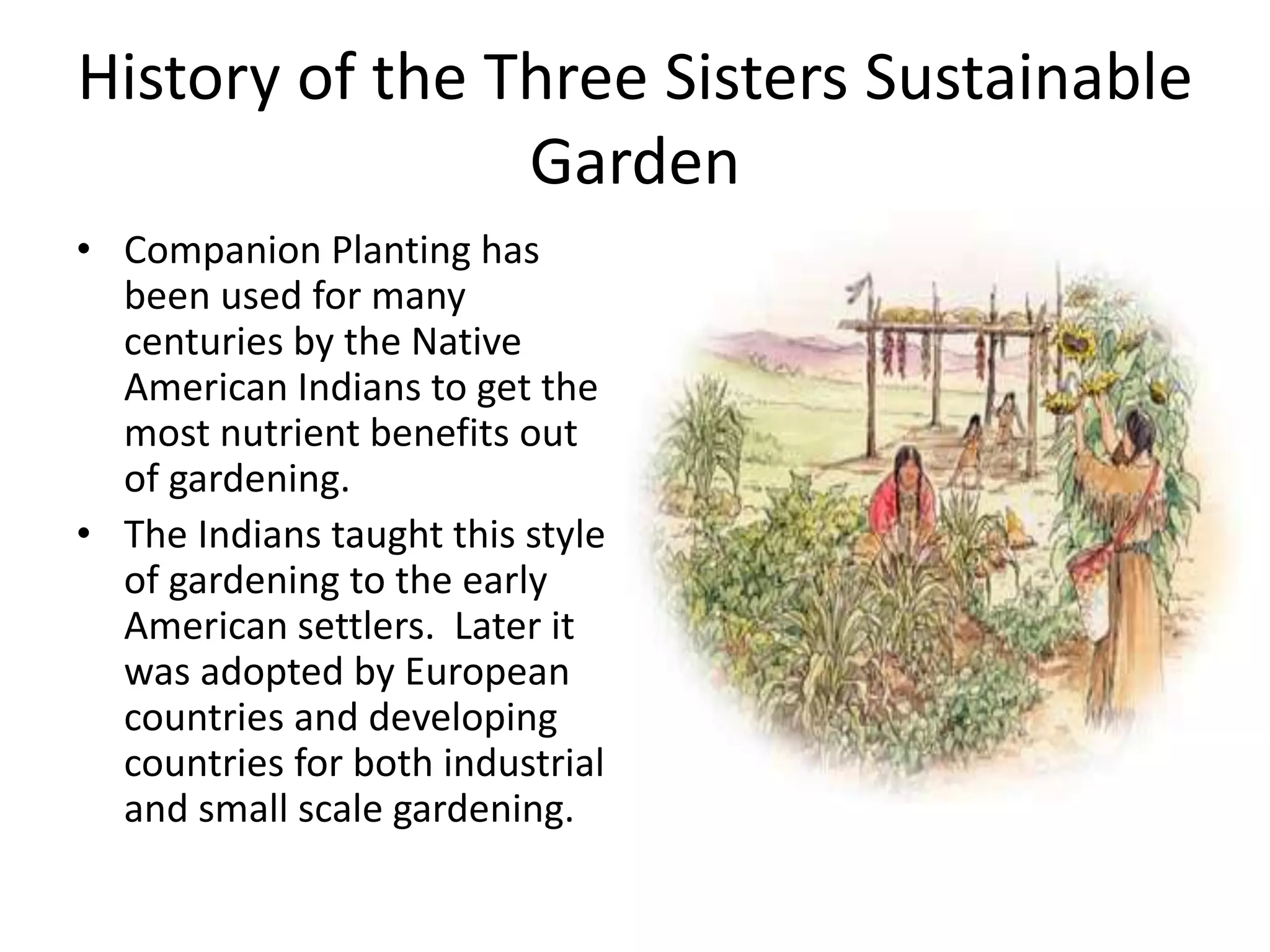 Leapfron to Sustanable Mini Garden - The Three Sisters | PPTX