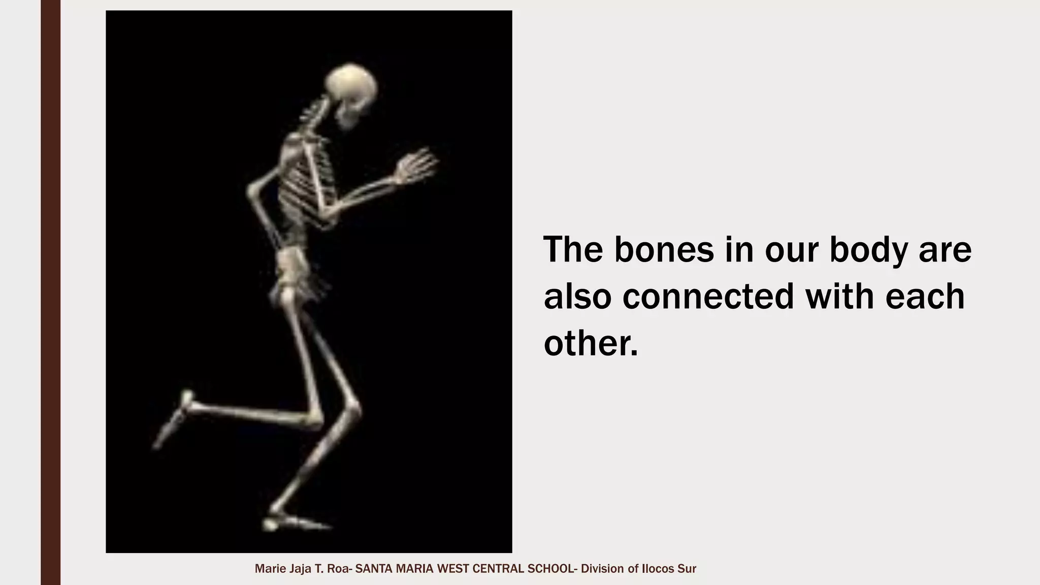 Lesson 14 Bones and Muscles | PPTX | Death, Injury, or Military ...