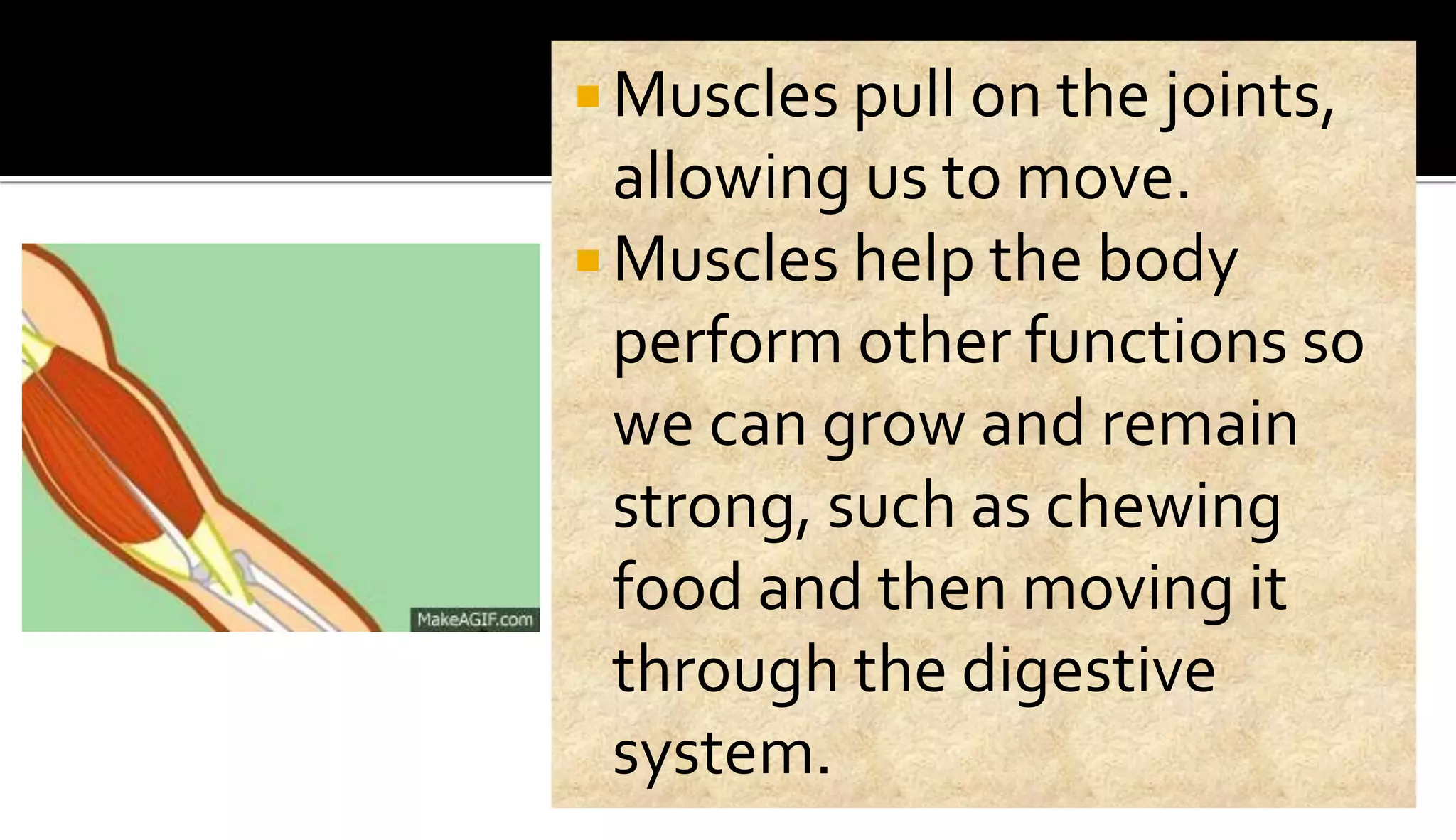 Lesson 14 Bones and Muscles ACTIVITY 2.pptx