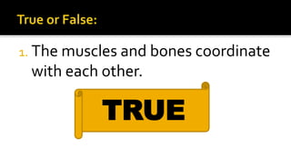 Lesson 14 Bones and Muscles ACTIVITY 2.pptx