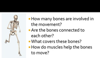 Lesson 14 Bones and Muscles ACTIVITY 2.pptx