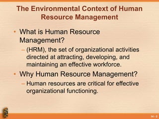 Lesson 14 Managing Human Resources in Organizations | PPT