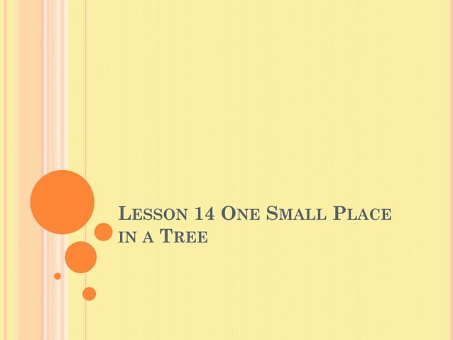 Lesson 14 one small place in a tree | PPTX