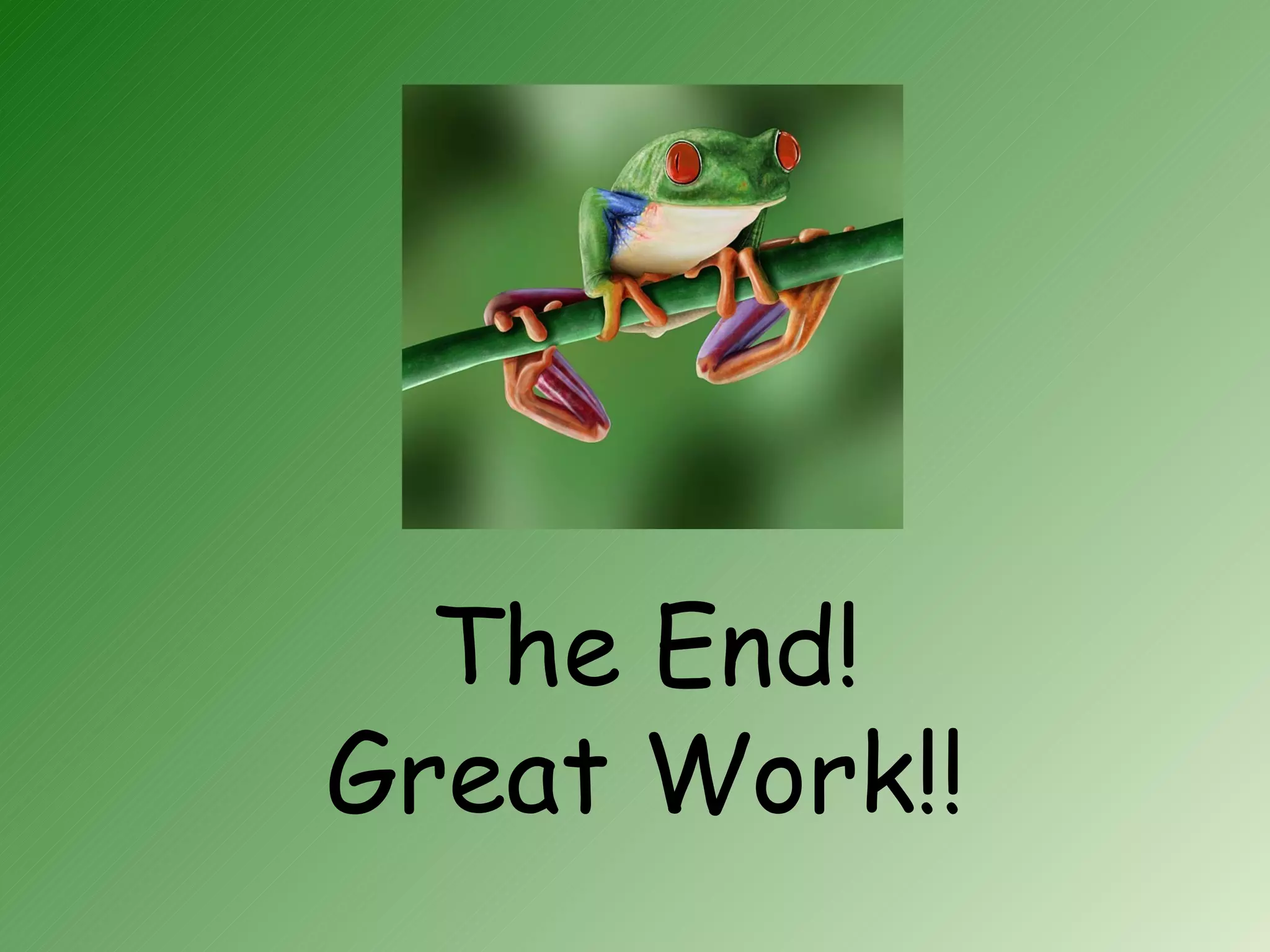 Lesson 14 spelling powerpoint rainforest babies (1) | PPT