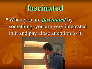 Lesson14 Robust Vocabulary - The Stranger - Storytown 4th Grade | PPT