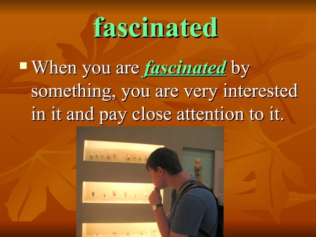 Lesson14 Robust Vocabulary - The Stranger - Storytown 4th Grade | PPT