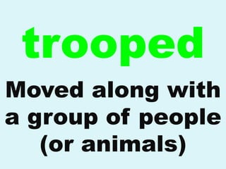 Lesson 14 twigg vocab rainforest babies | PPTX