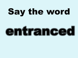 Lesson 14 twigg vocab rainforest babies | PPTX