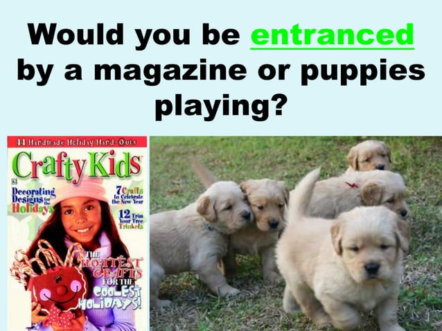 Lesson 14 twigg vocab rainforest babies | PPTX