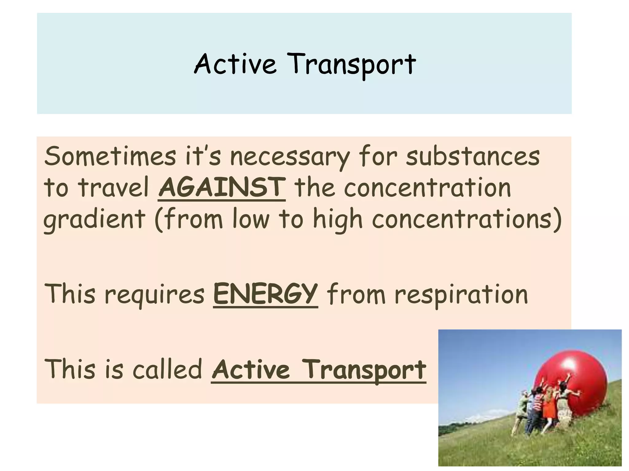 Lesson 15 active-transport | PPT