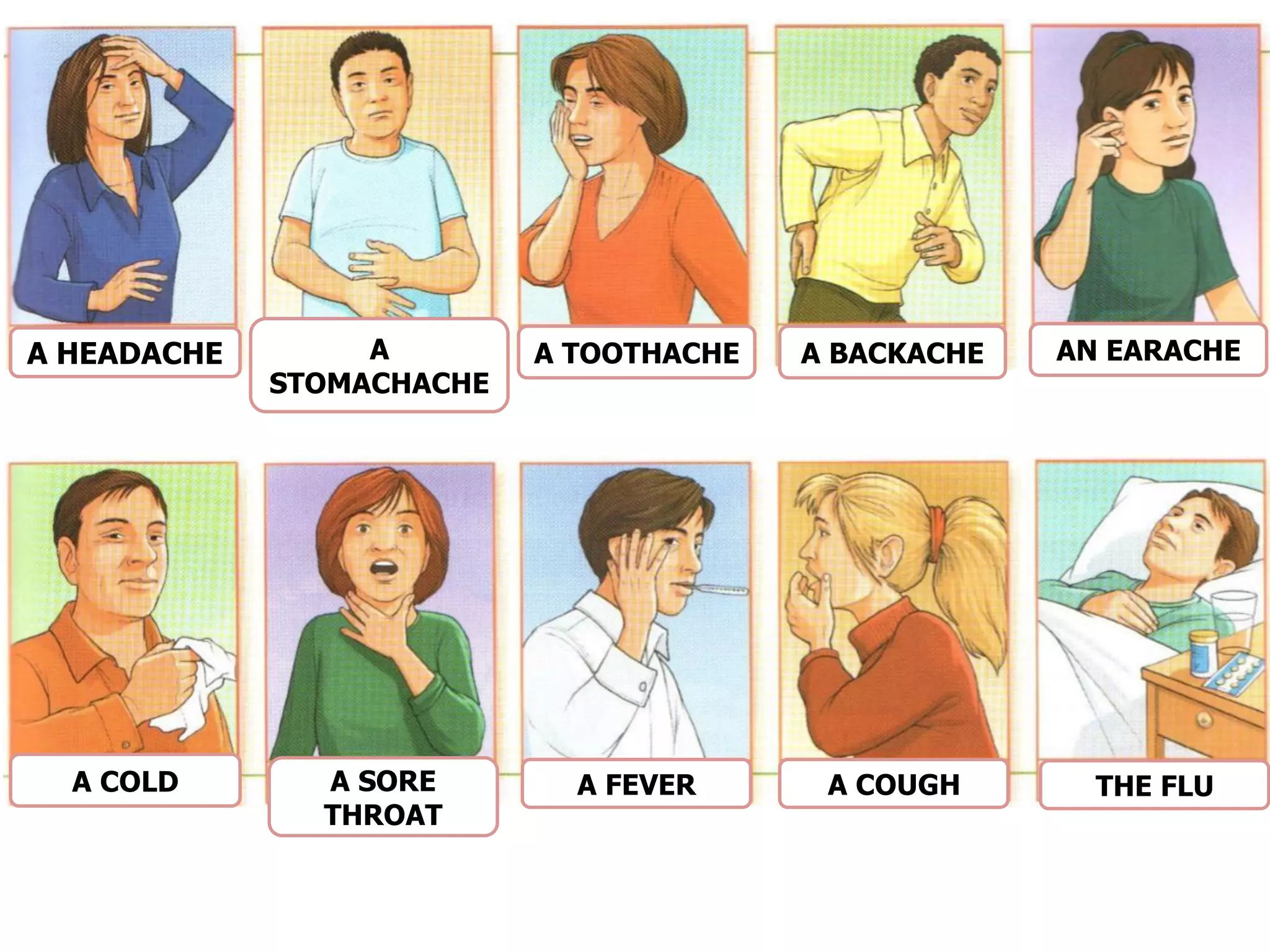 Lesson 15 health problems | PDF