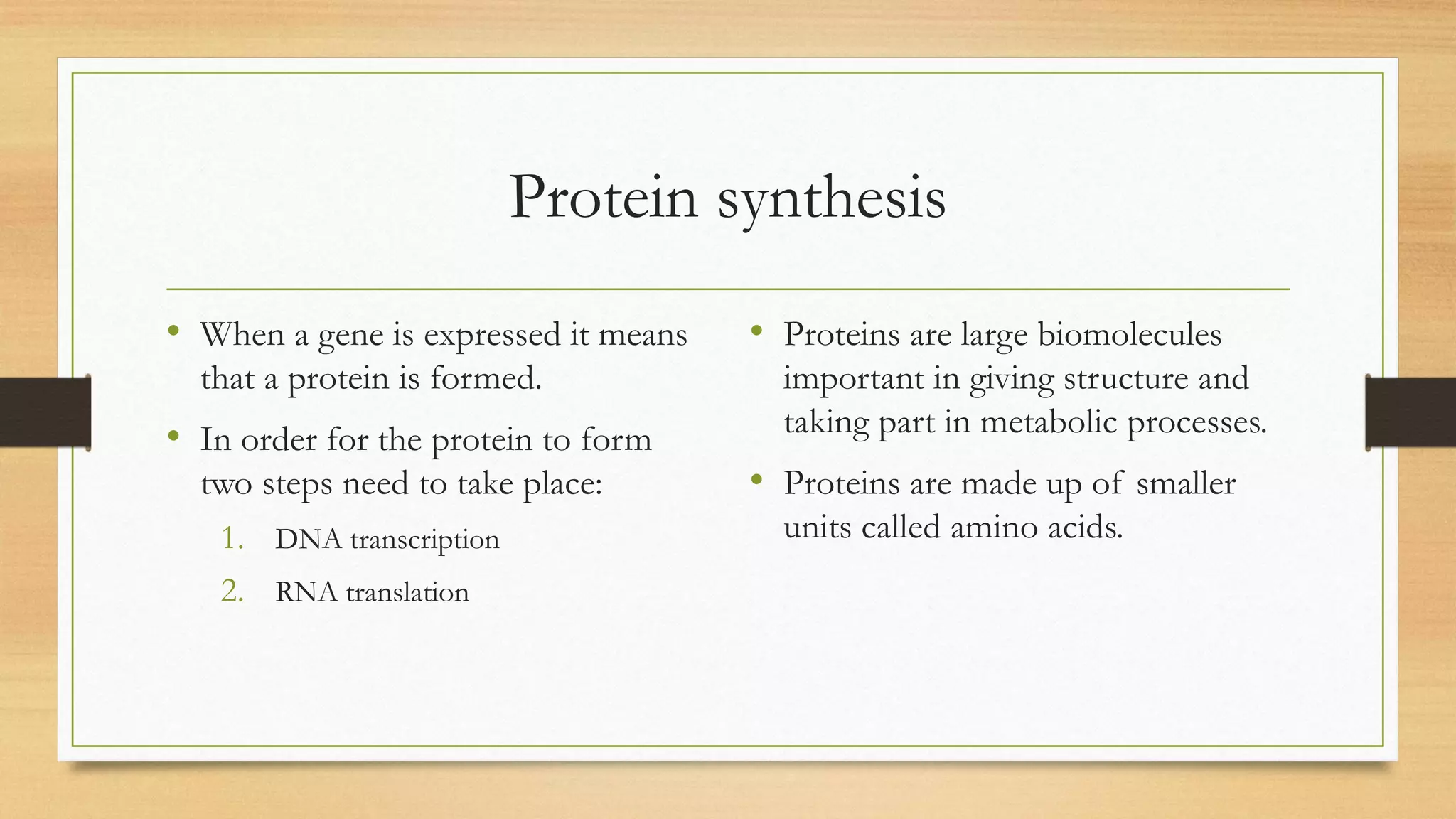 Lesson 15 Protein synthesis | PPT | Free Download