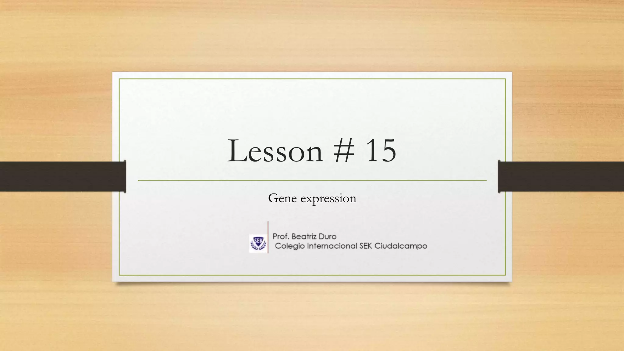 Lesson 15 protein synthesis | PPTX