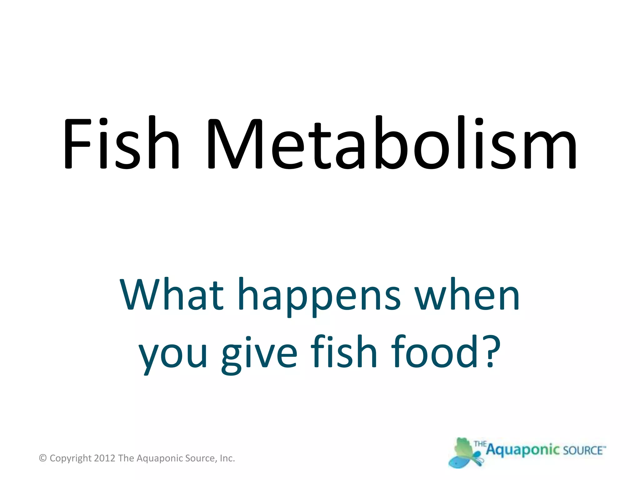 Lesson 16 fish metabolism | PPT