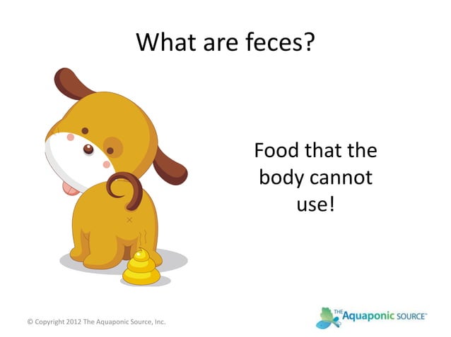 Lesson 16 fish metabolism | PPT