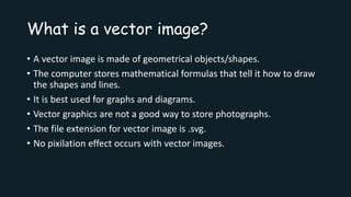 Lesson 16- Vector Images | PPT