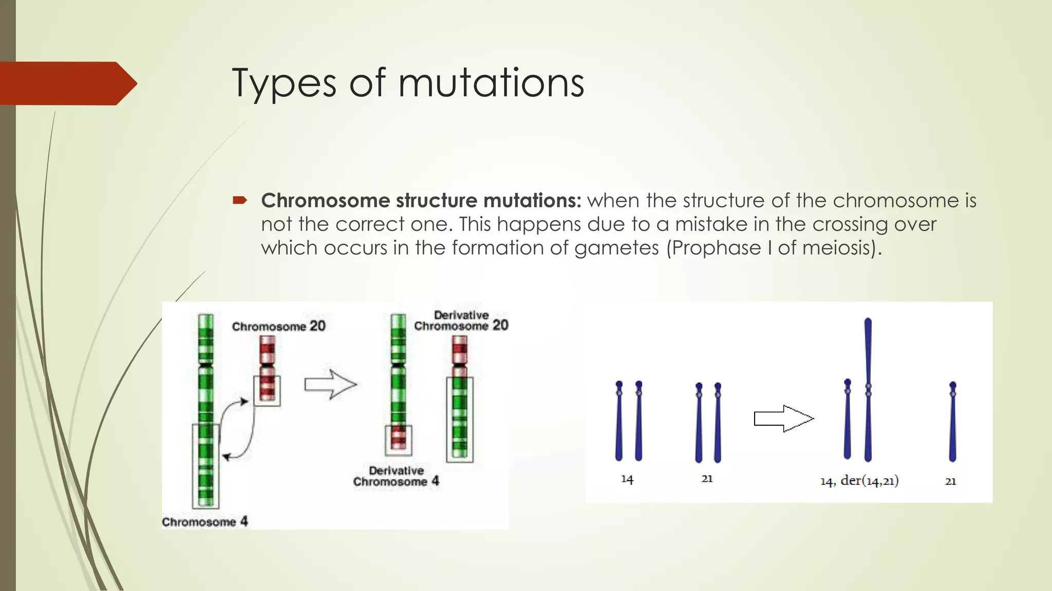 Lesson 16 Mutations | PDF