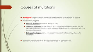 Lesson 16 Mutations | PDF
