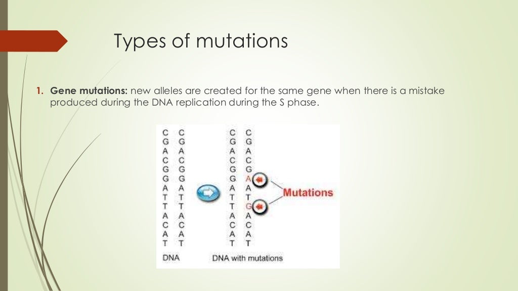 Lesson 16 mutations