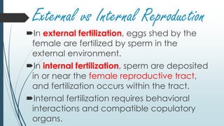 Lesson 16 reproductive system | PPT