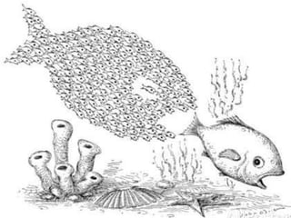 ENGLISH 2 Lesson 18 swimmy | PPTX