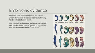 Lesson 19 evidence of evolution | PPTX