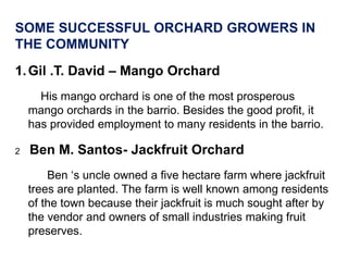 IMPORTANCE AND BENEFITS DERIVED FROM PLANTING AND FRUIT TREES | PPT