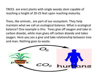 IMPORTANCE AND BENEFITS DERIVED FROM PLANTING AND FRUIT TREES | PPT