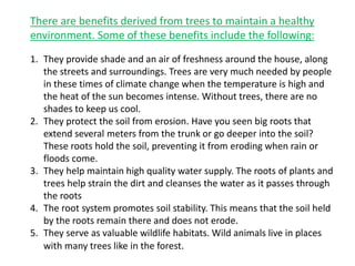 IMPORTANCE AND BENEFITS DERIVED FROM PLANTING AND FRUIT TREES | PPT