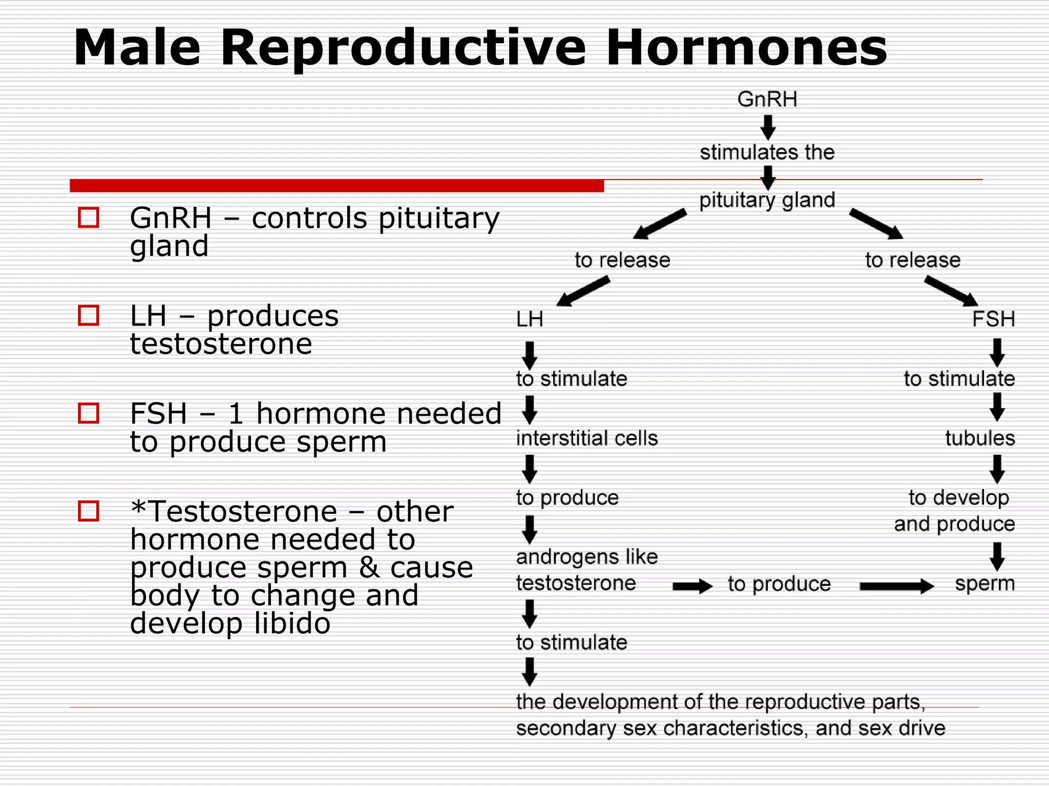 Male and Female Reproductive Systems.ppt