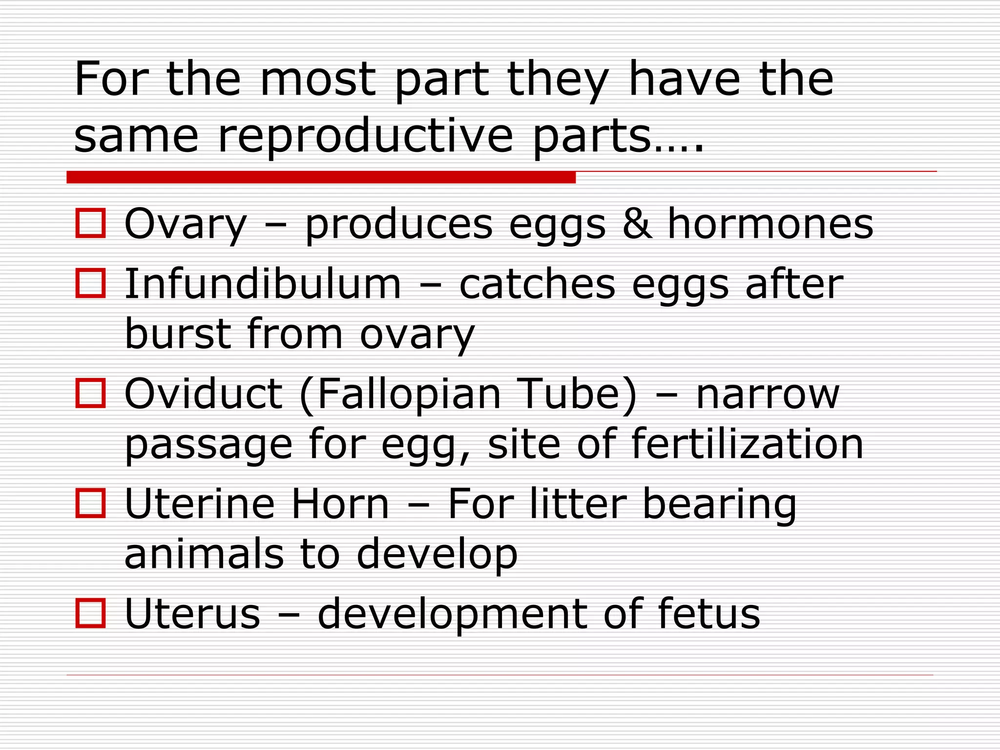 Male and Female Reproductive Systems.ppt