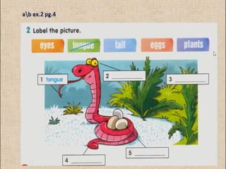 Lesson 1 Animal types for beginning classes especially for 3th grade | PPT