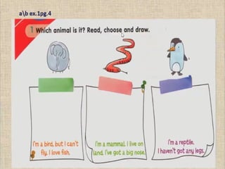 Lesson 1 Animal types for beginning classes especially for 3th grade | PPT
