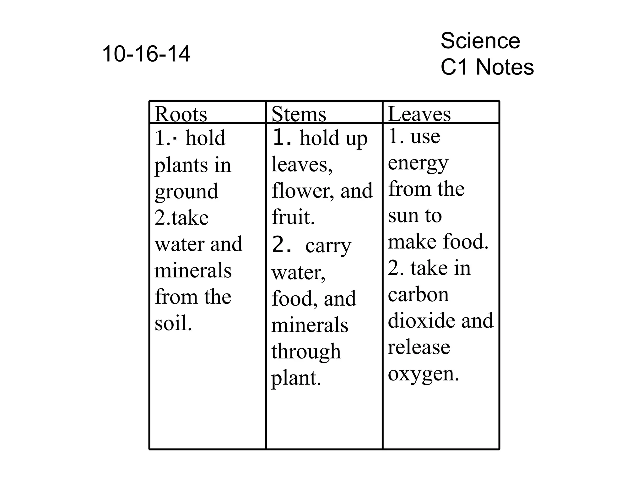 What Do Roots, Stems and Leaves Do? | PPT
