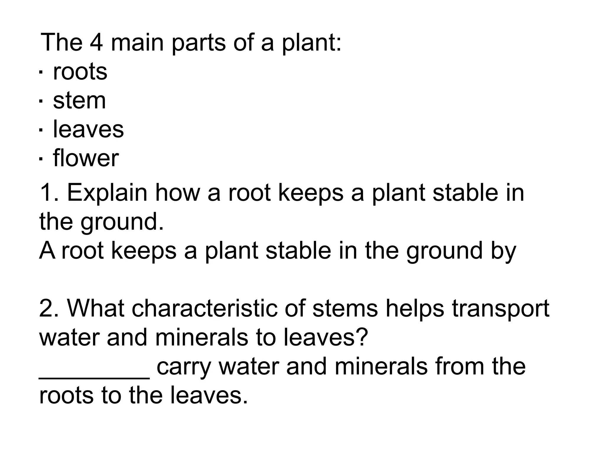 What Do Roots, Stems and Leaves Do? | PPT