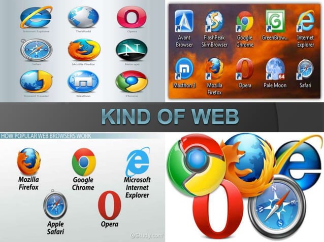 Basic Web Concept | PPT