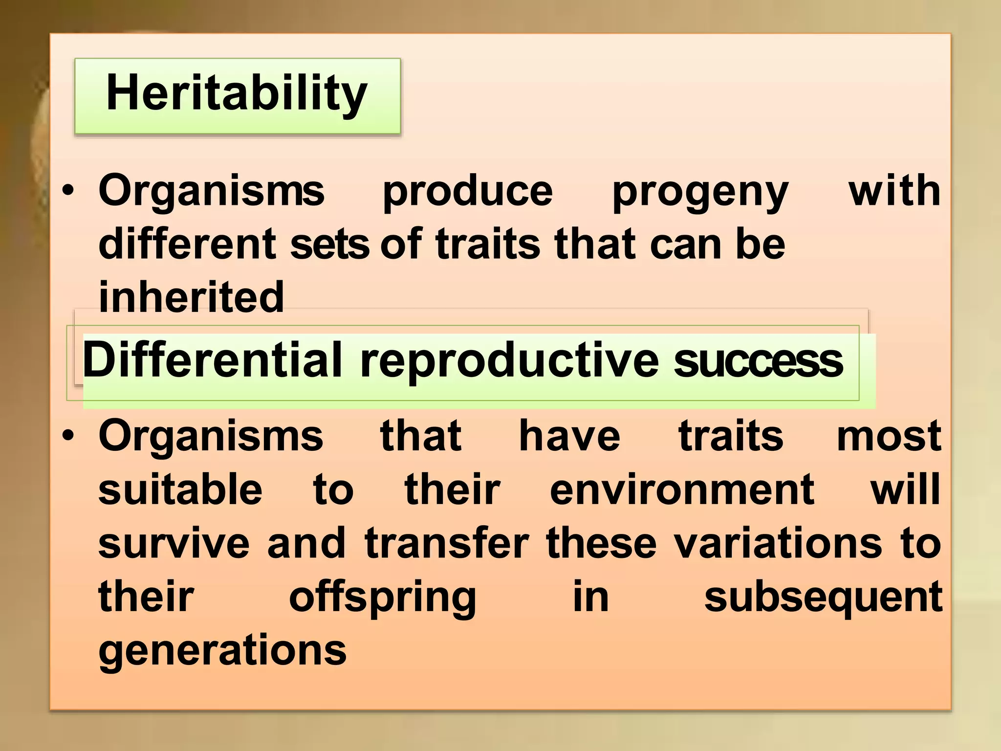 Lesson1biologicalandculturalevolutionfromaustralophitecustohomosapiens ...