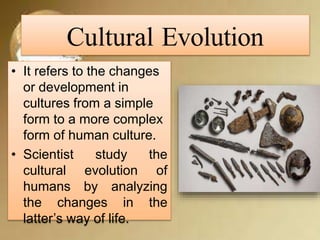 Lesson1biologicalandculturalevolutionfromaustralophitecustohomosapiens ...