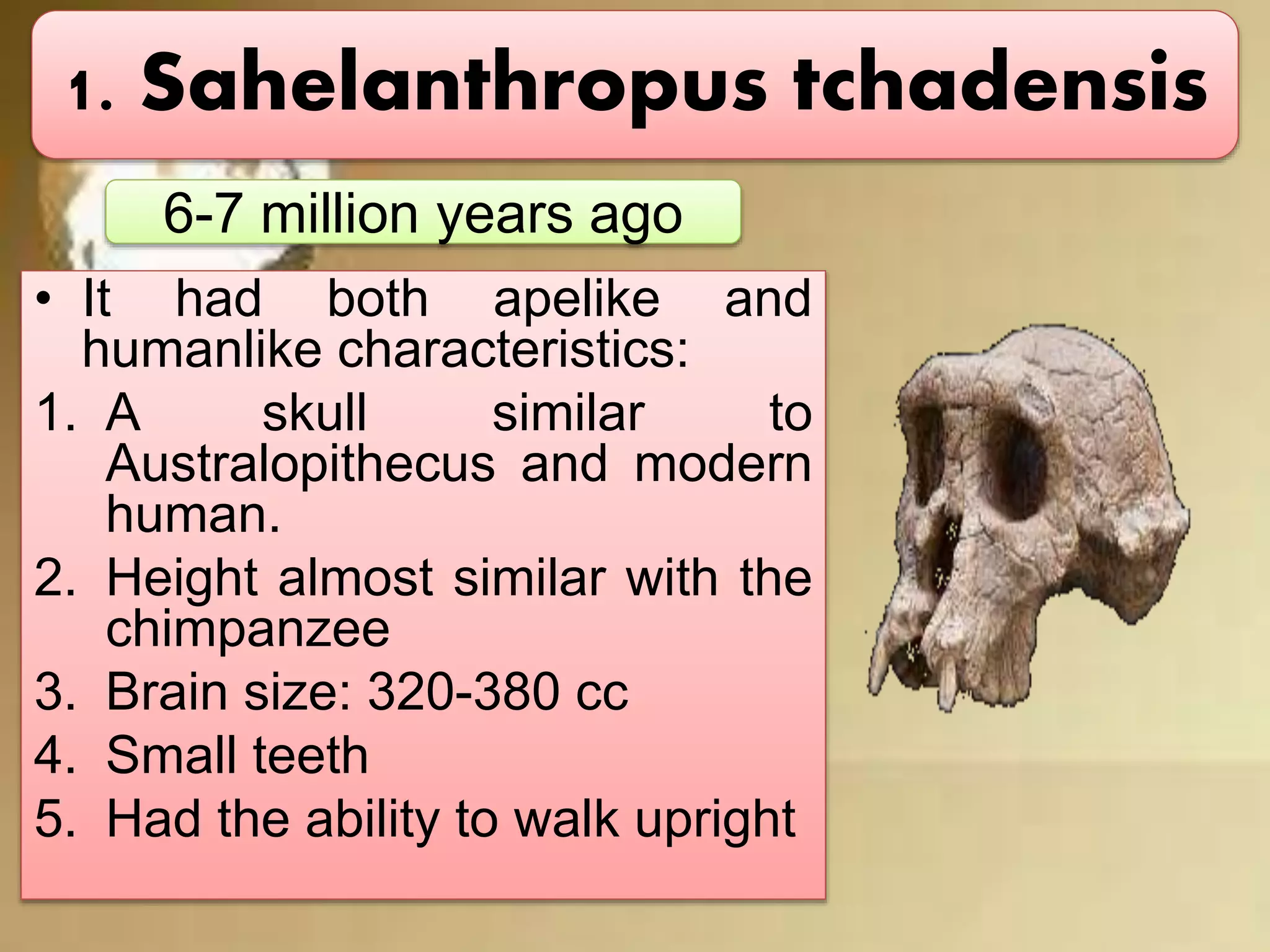 biological and cultural evolution | PPTX