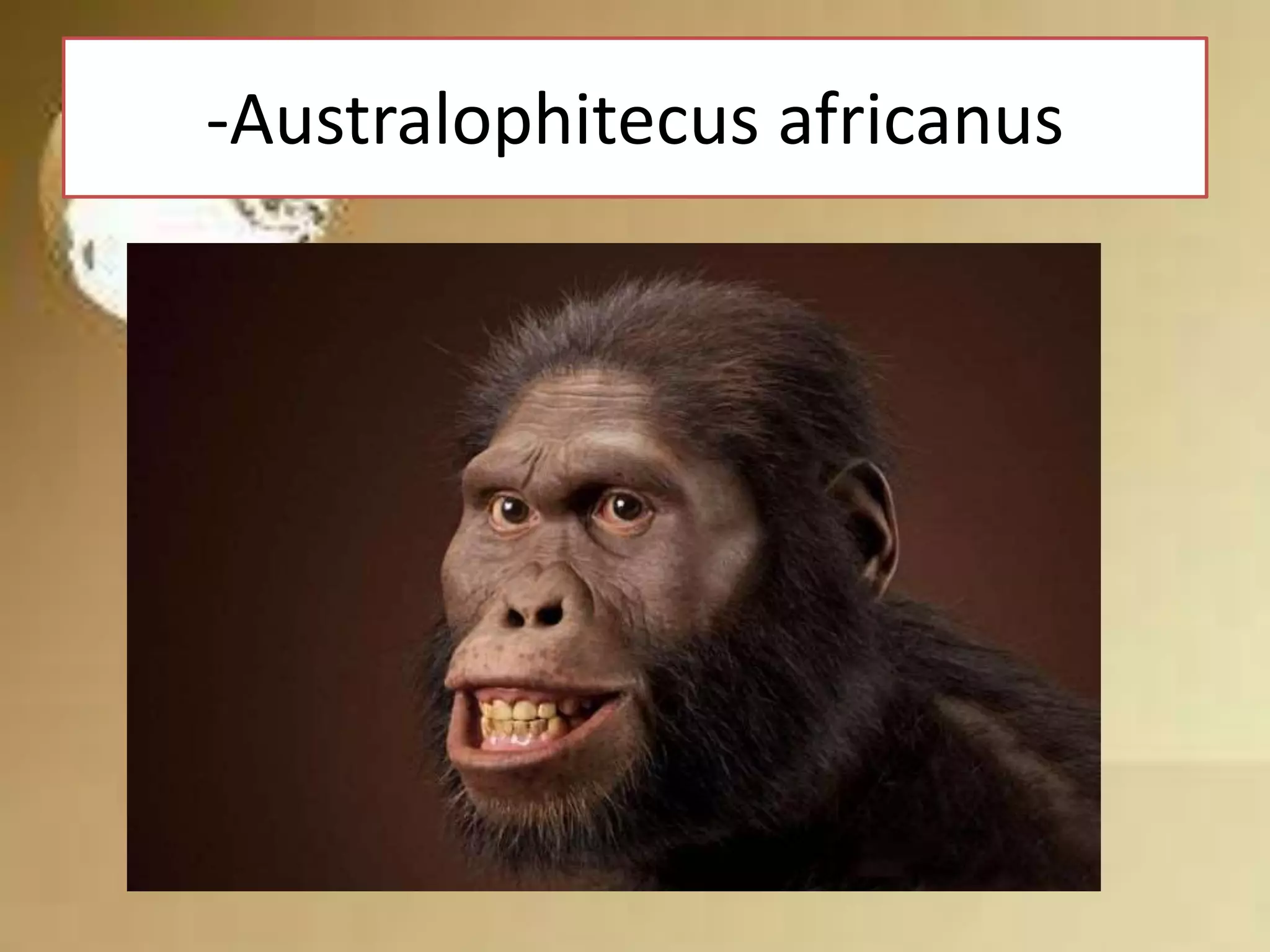 biological and cultural evolution | PPTX