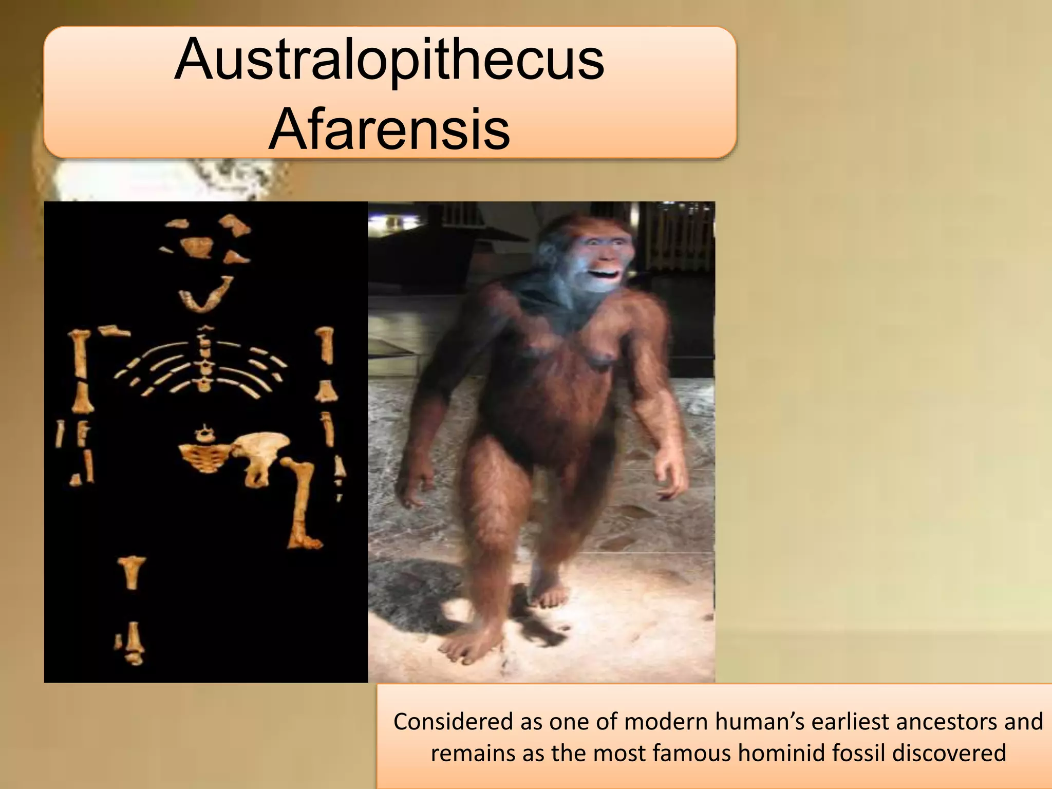 biological and cultural evolution | PPTX
