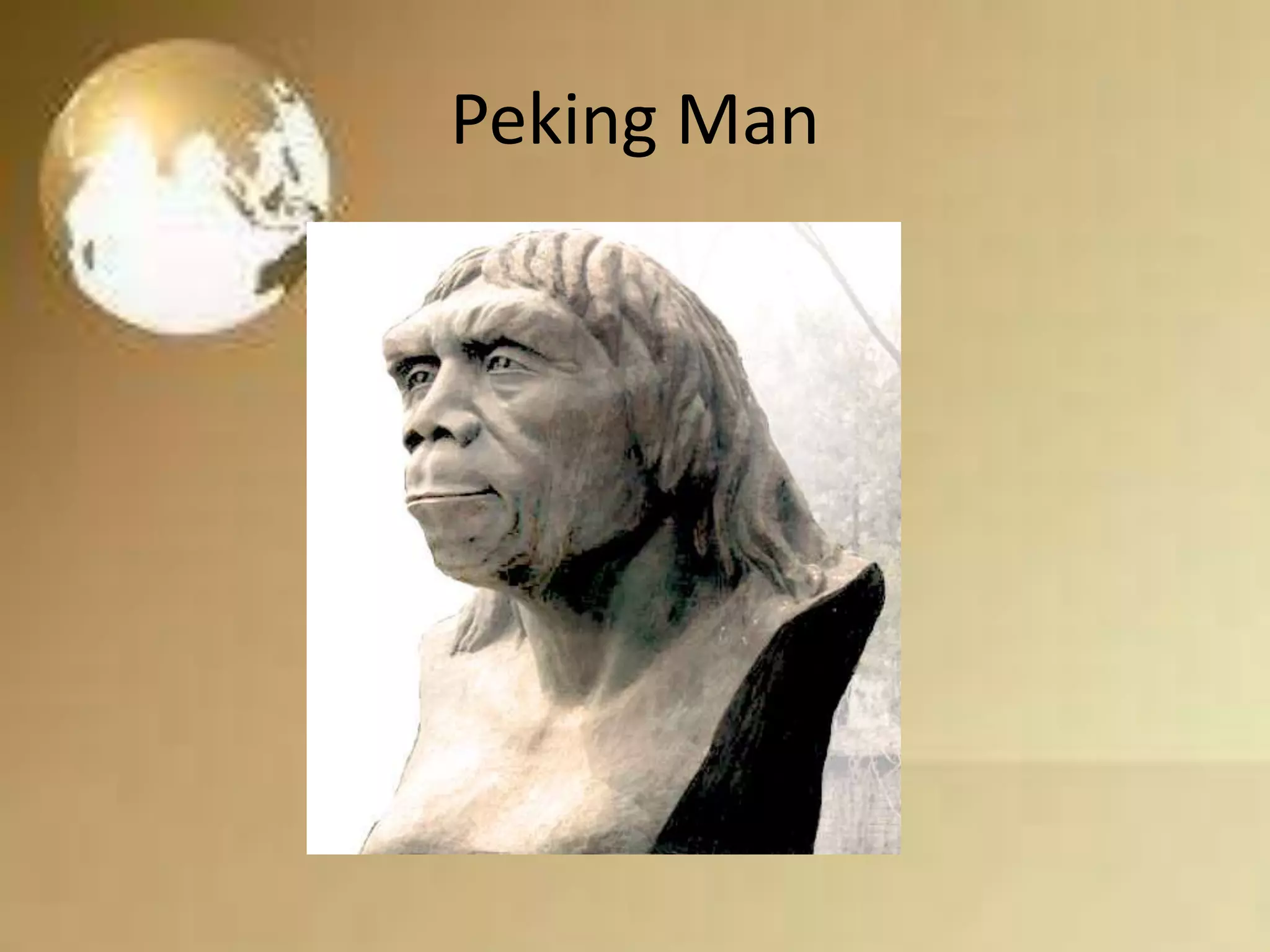 biological and cultural evolution | PPTX