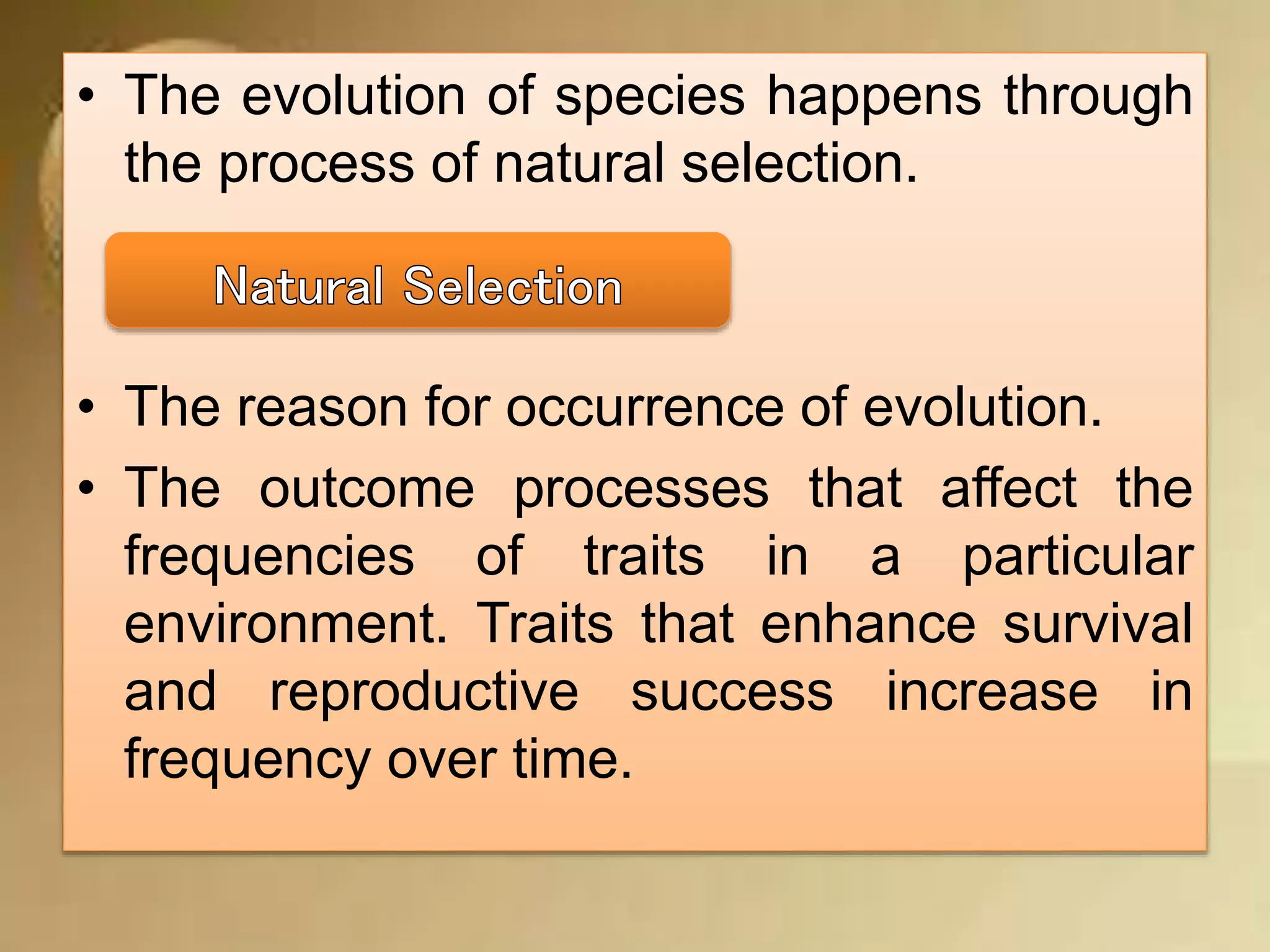 biological and cultural evolution | PPTX | Geology | Science